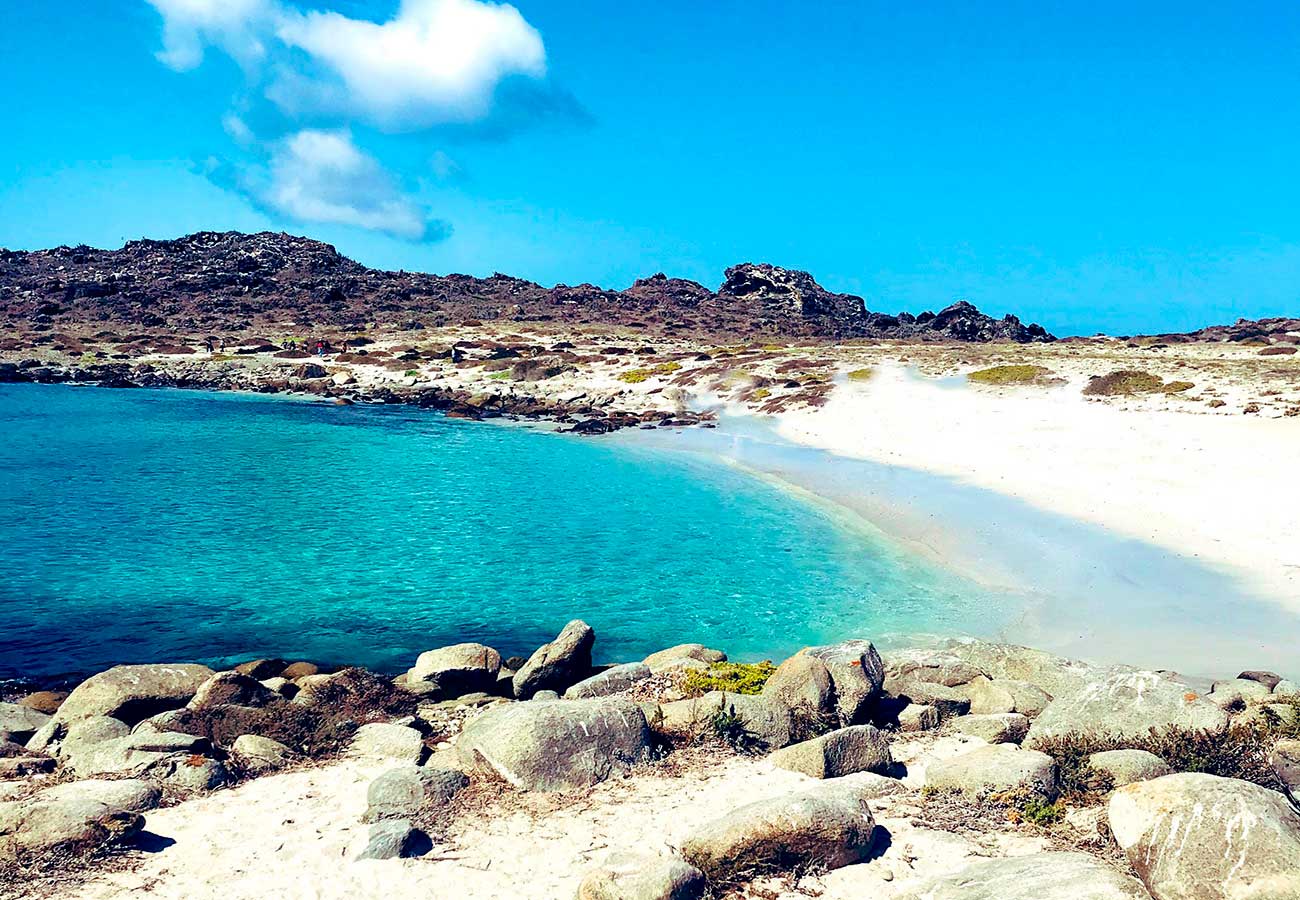 Travesía en Kayak a la Isla Damas - Terramagica